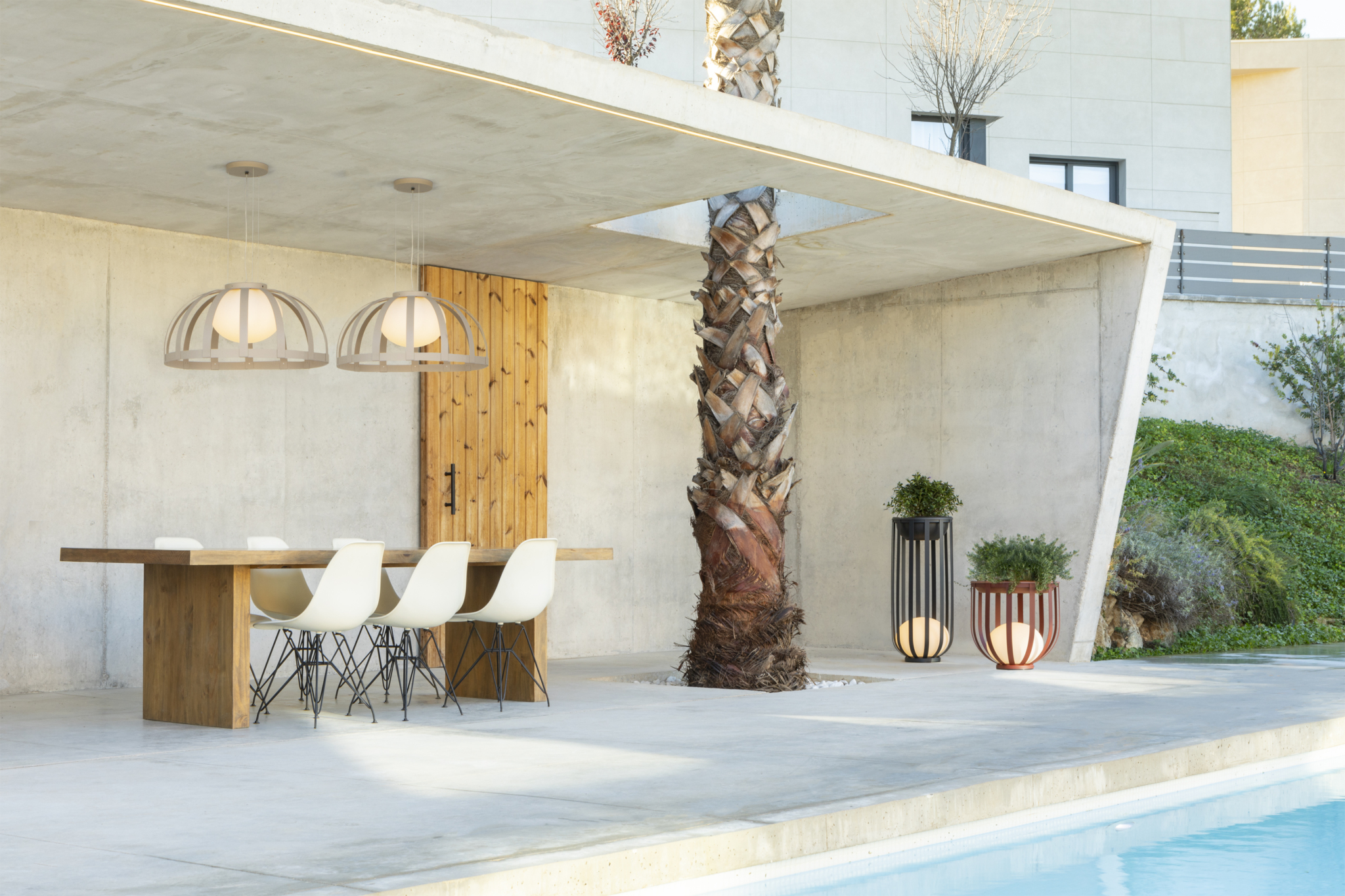 Avaleht — Hektor Light