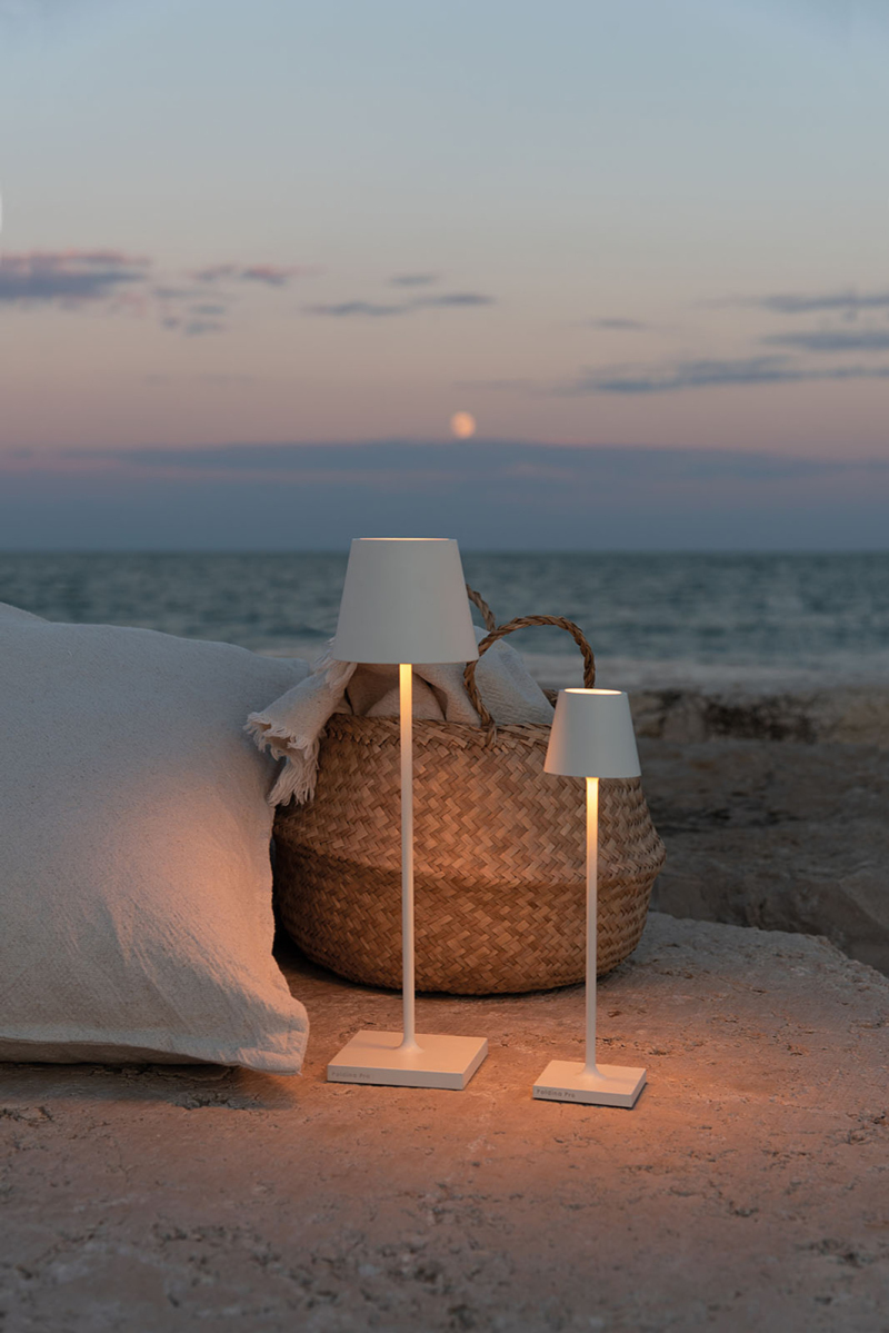 Avaleht — Hektor Light